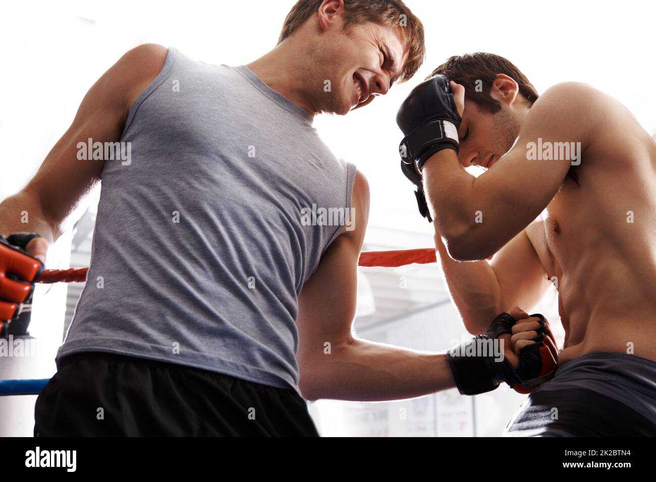 Go big or get out of the ring. Cropped shot of two martial artists ...