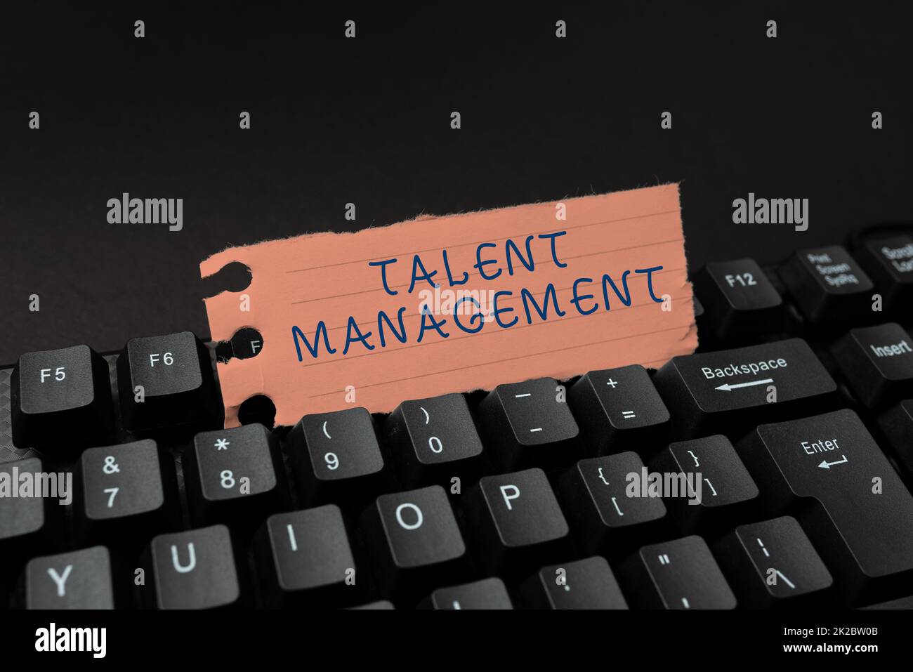 Text showing inspiration Talent Management. Concept meaning Acquiring ...