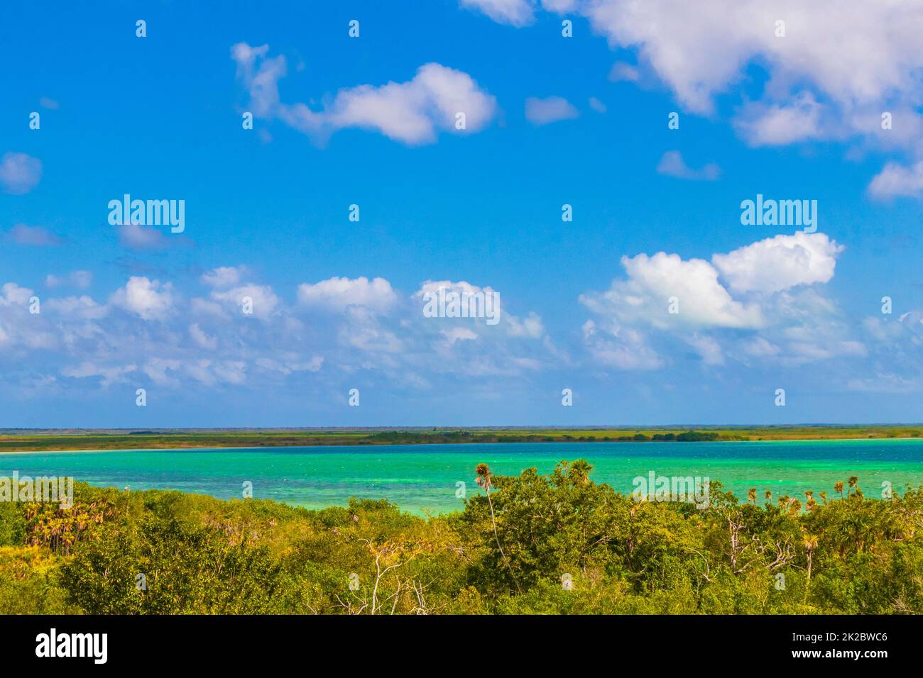 Muyil Lagoon panorama view in tropical jungle of amazing Mexico Stock ...