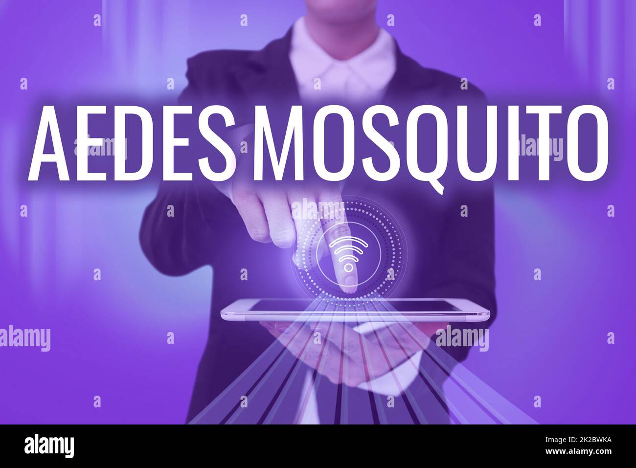 Sign displaying Aedes Mosquito. Word for the yellow fever mosquito that ...