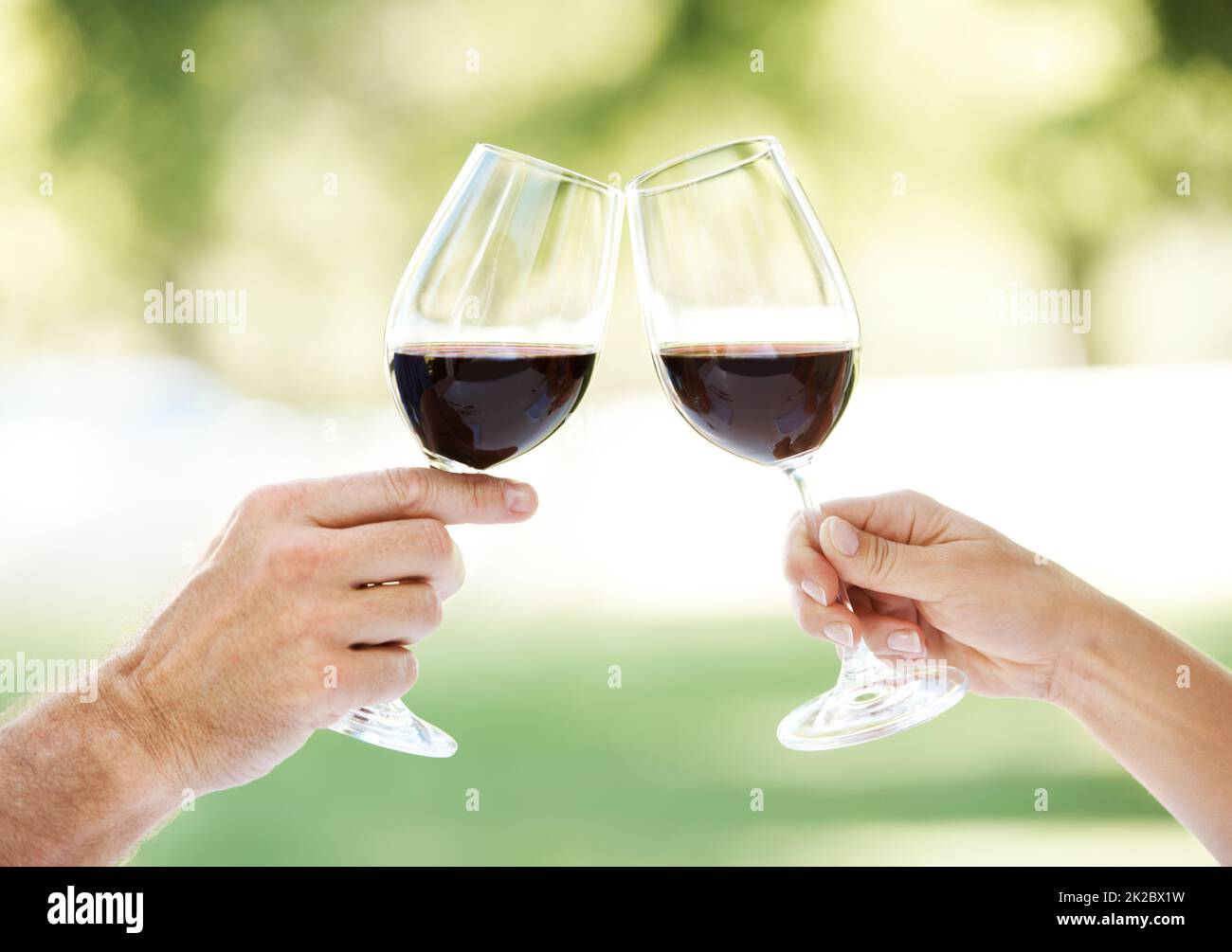 Hands toasting glasses red wine hi-res stock photography and images - Alamy