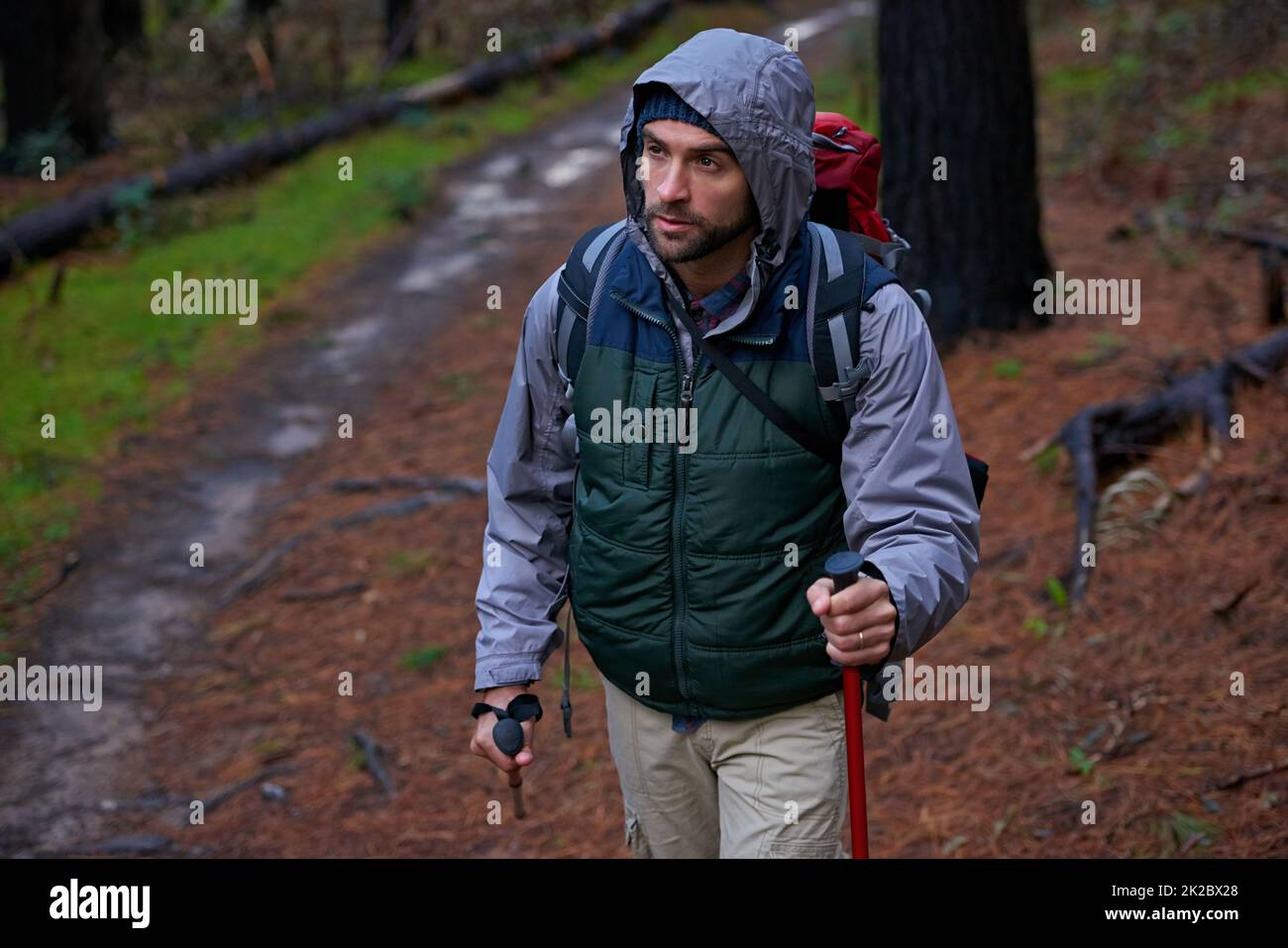 Using hiking poles hi-res stock photography and images - Alamy