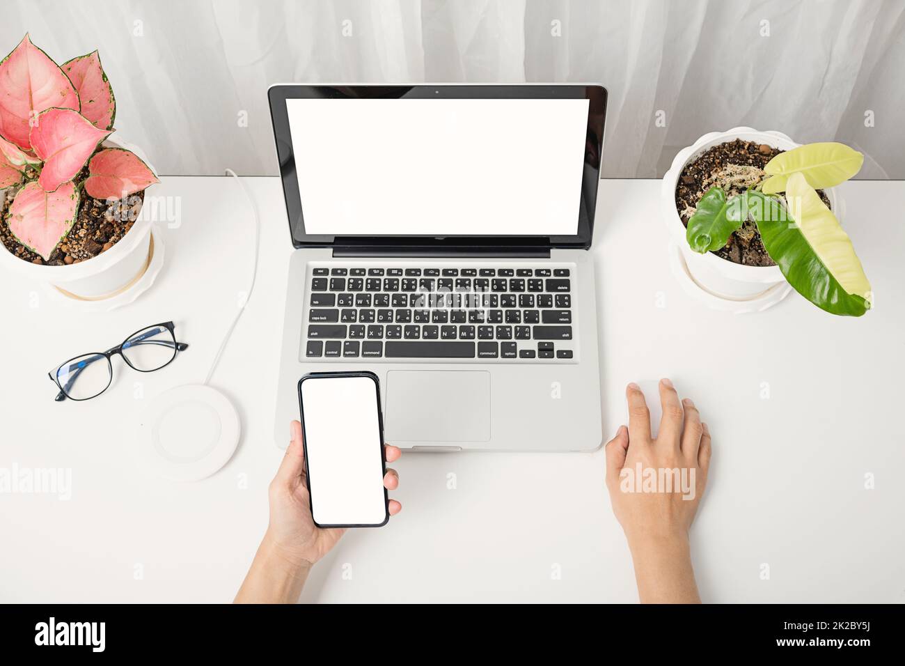 Female sitting workspace using hand holding black smartphone blank ...