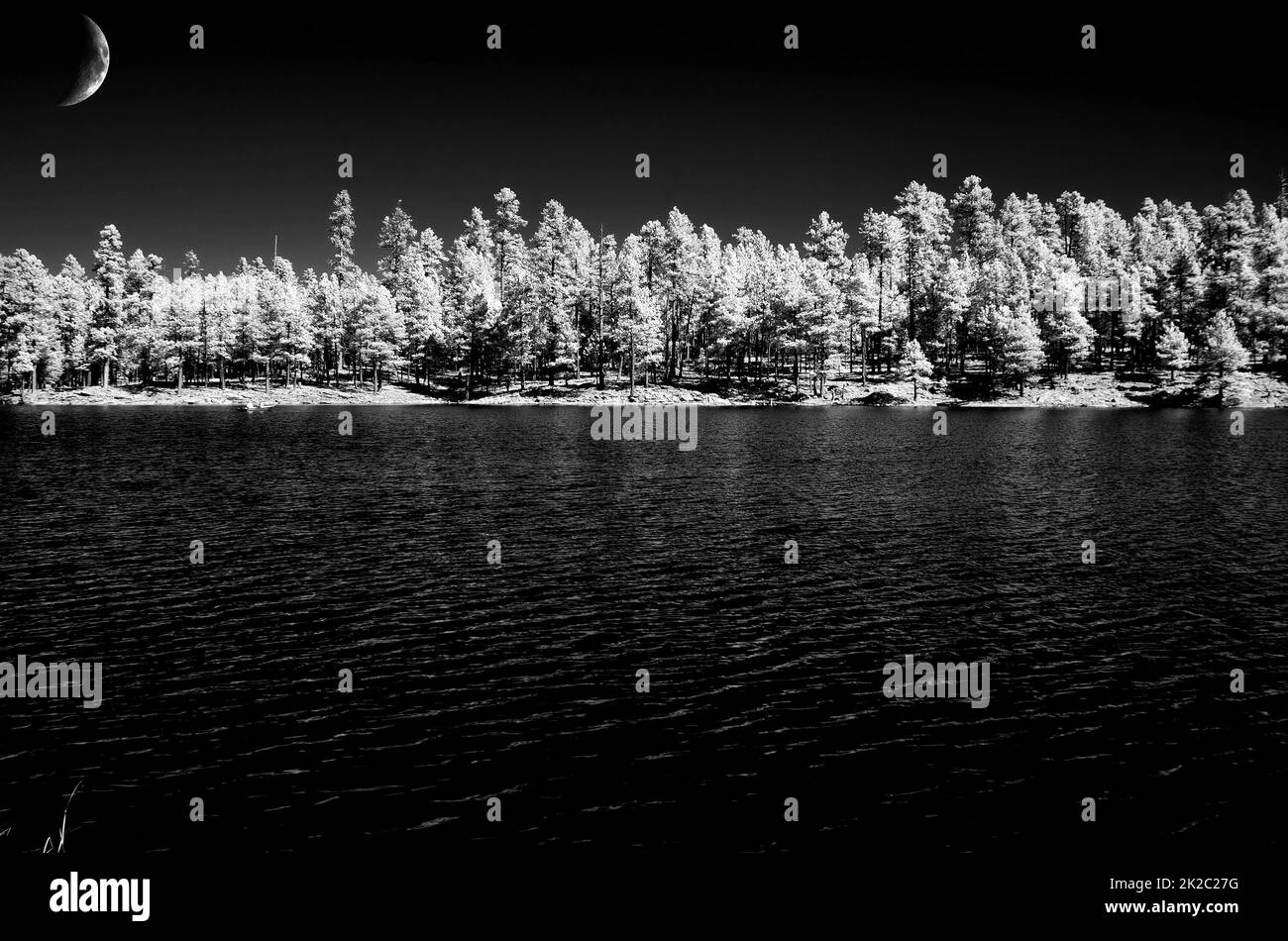Moon and Forest Lake Stock Photo - Alamy