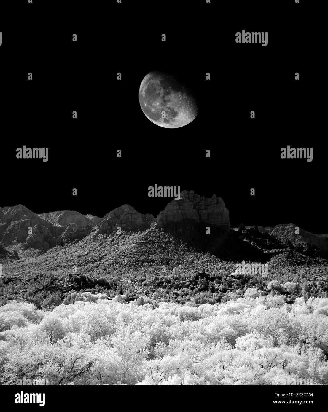 Sonora Desert Moon Stock Photo - Alamy