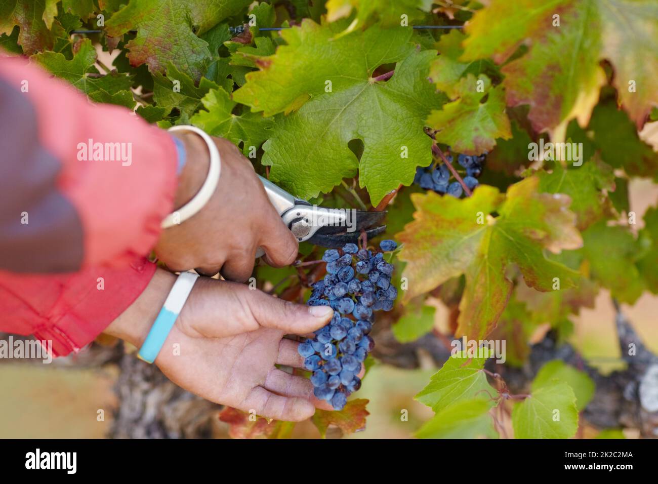 Work mans tools hi-res stock photography and images - Alamy