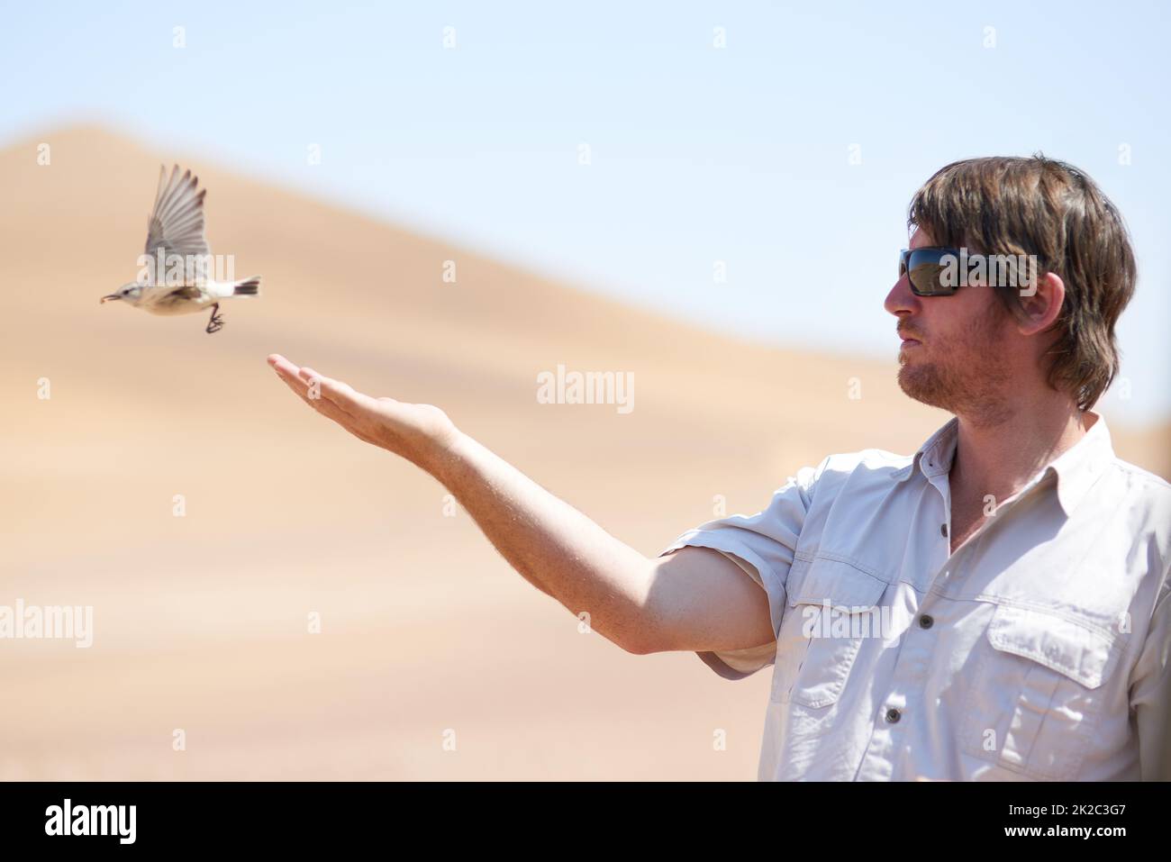 Birds in the hot desert hi-res stock photography and images - Alamy