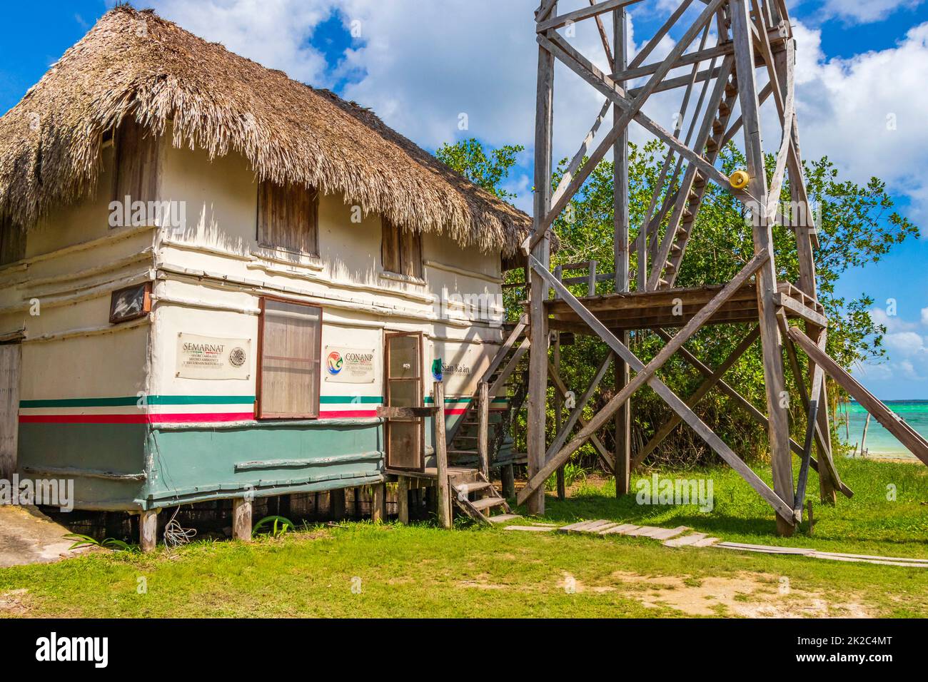 Muyil Lagoon panorama view watch tower in tropical jungle Mexico Stock ...