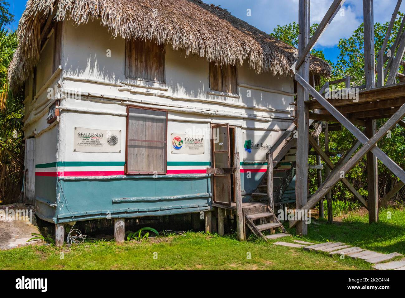 Muyil Lagoon panorama view watch tower in tropical jungle Mexico Stock ...