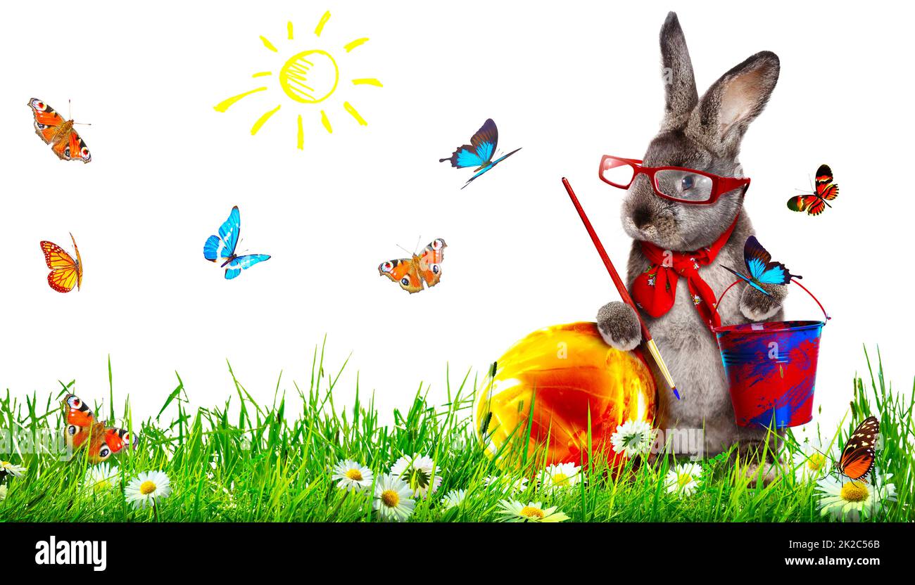 Funny Easter bunny. Happy Easter holiday concept Stock Photo - Alamy