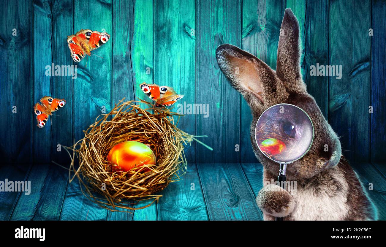 Funny Easter bunny. Happy Easter holiday concept Stock Photo - Alamy