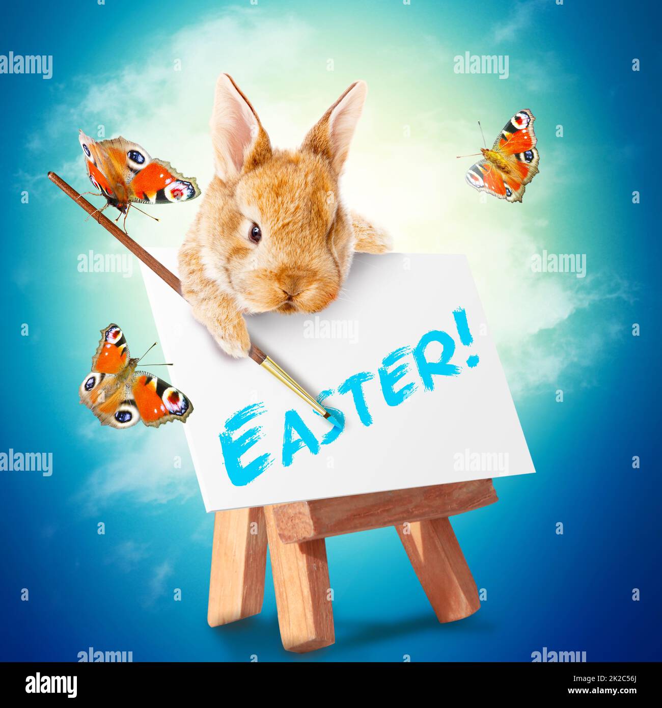 Funny Easter bunny. Happy Easter holiday concept Stock Photo - Alamy