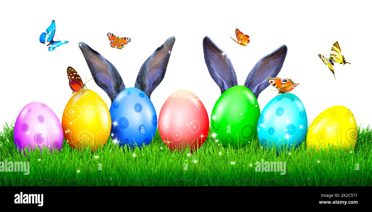 Funny Easter bunny. Happy Easter holiday concept Stock Photo - Alamy