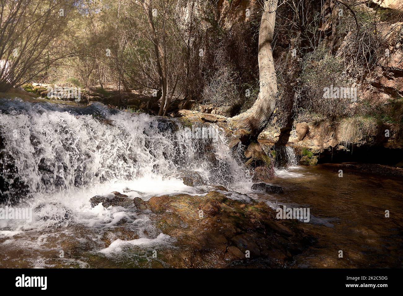 Transparent waterfall in the forest on a sunny day Stock Photo - Alamy