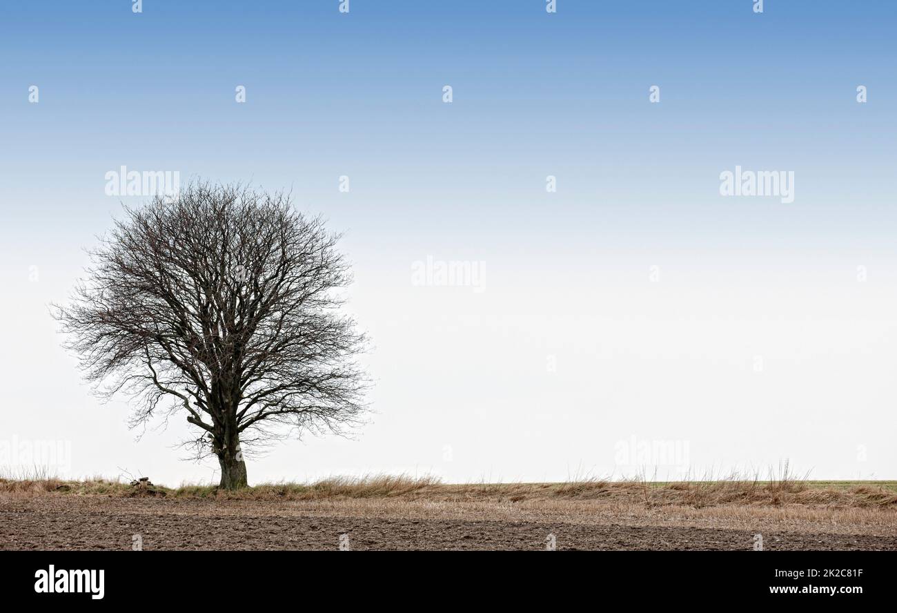 Winter in Denmark. A photo of winter landscape Stock Photo - Alamy
