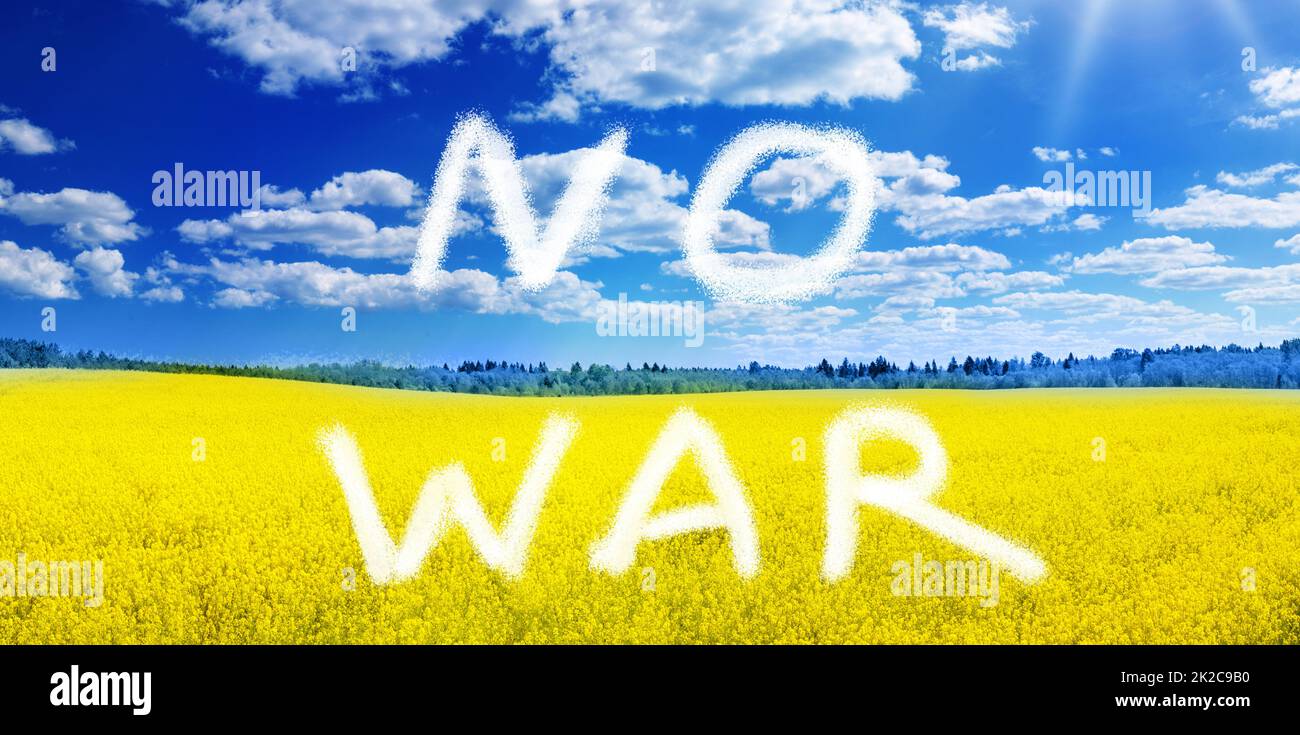 Yellow rapeseed field panorama with beautiful blue sky like the ...