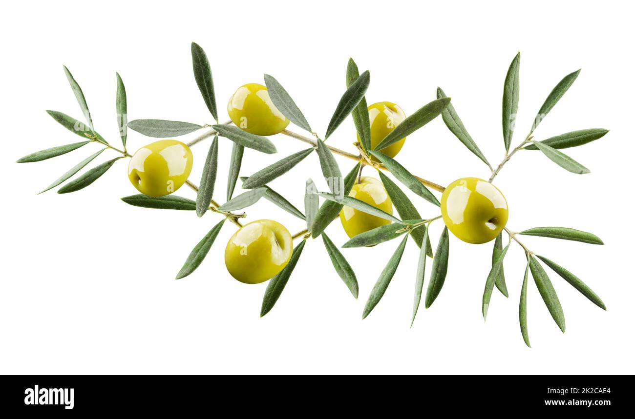 Fresh green big olives Cut Out Stock Images & Pictures - Alamy