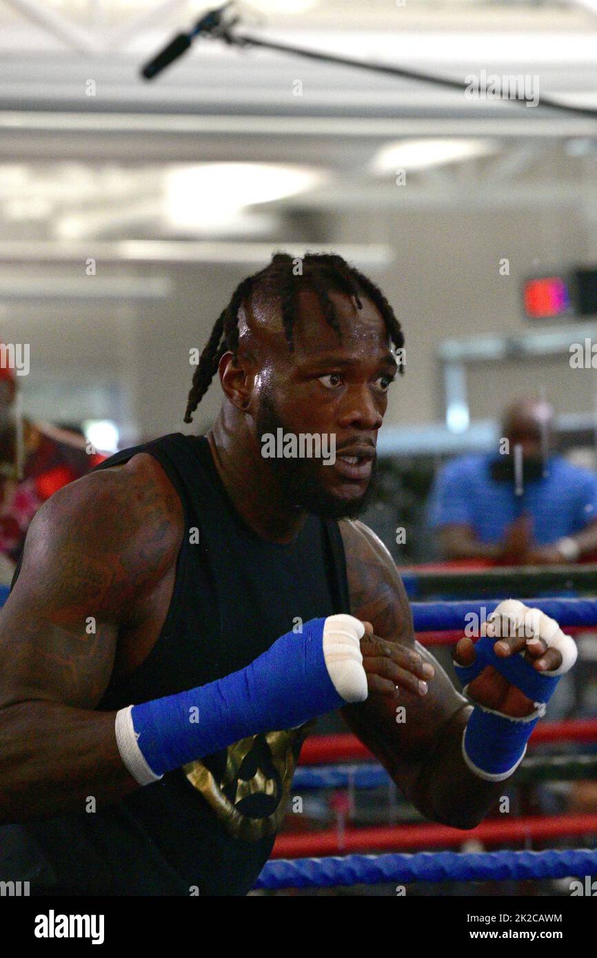 Las Vegas, Nevada, USA. 22nd Sep, 2022. Deontay Wilder media day ...