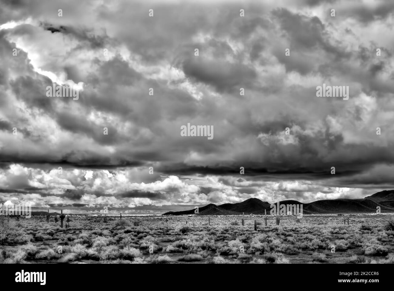 Infrared Sonora Desert Arizona Stock Photo - Alamy