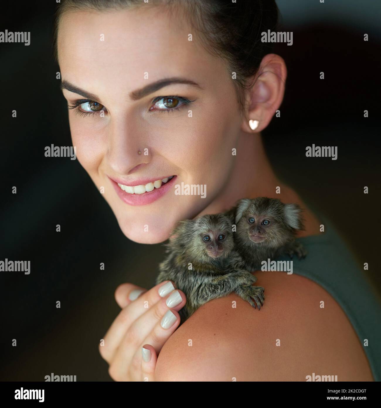 Pigmy monkey hi-res stock photography and images - Alamy