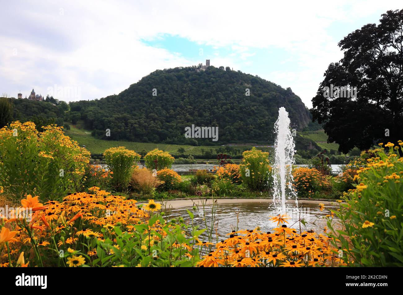 Drachenfels castle middle rhine hi-res stock photography and images - Alamy