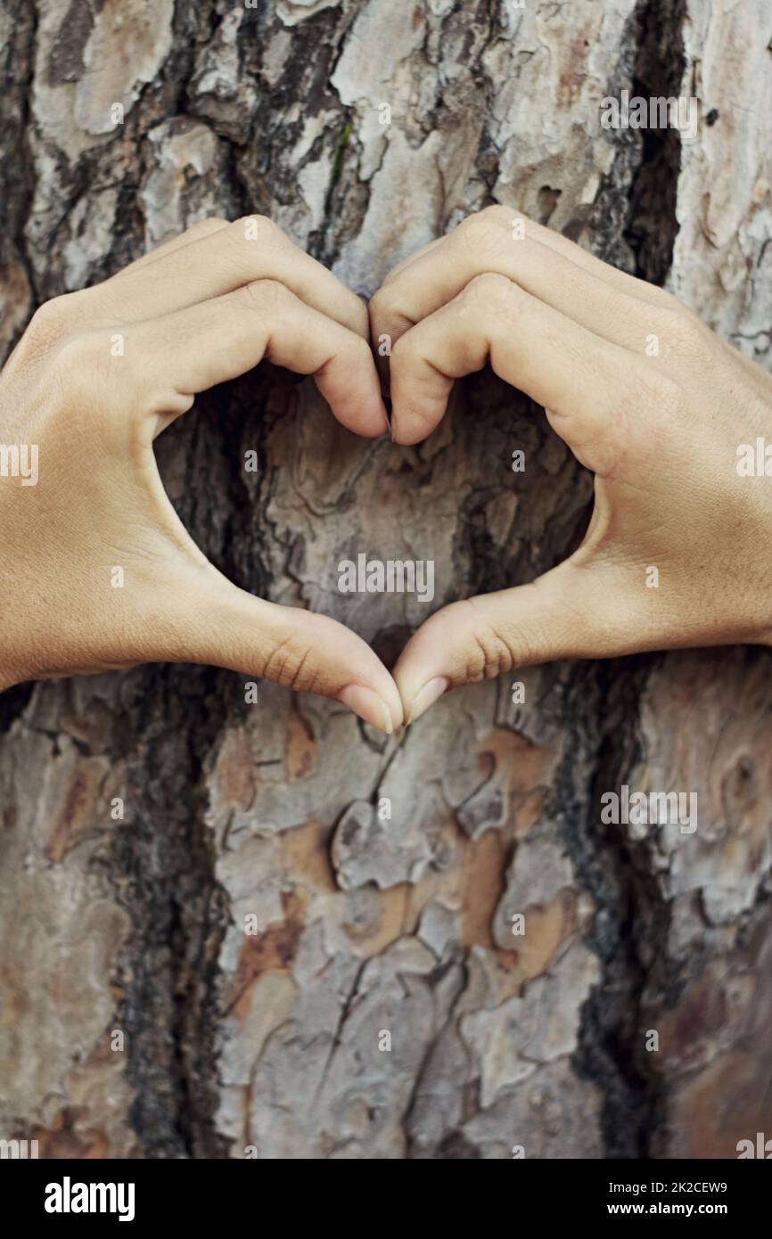 The forming tree hi-res stock photography and images - Alamy