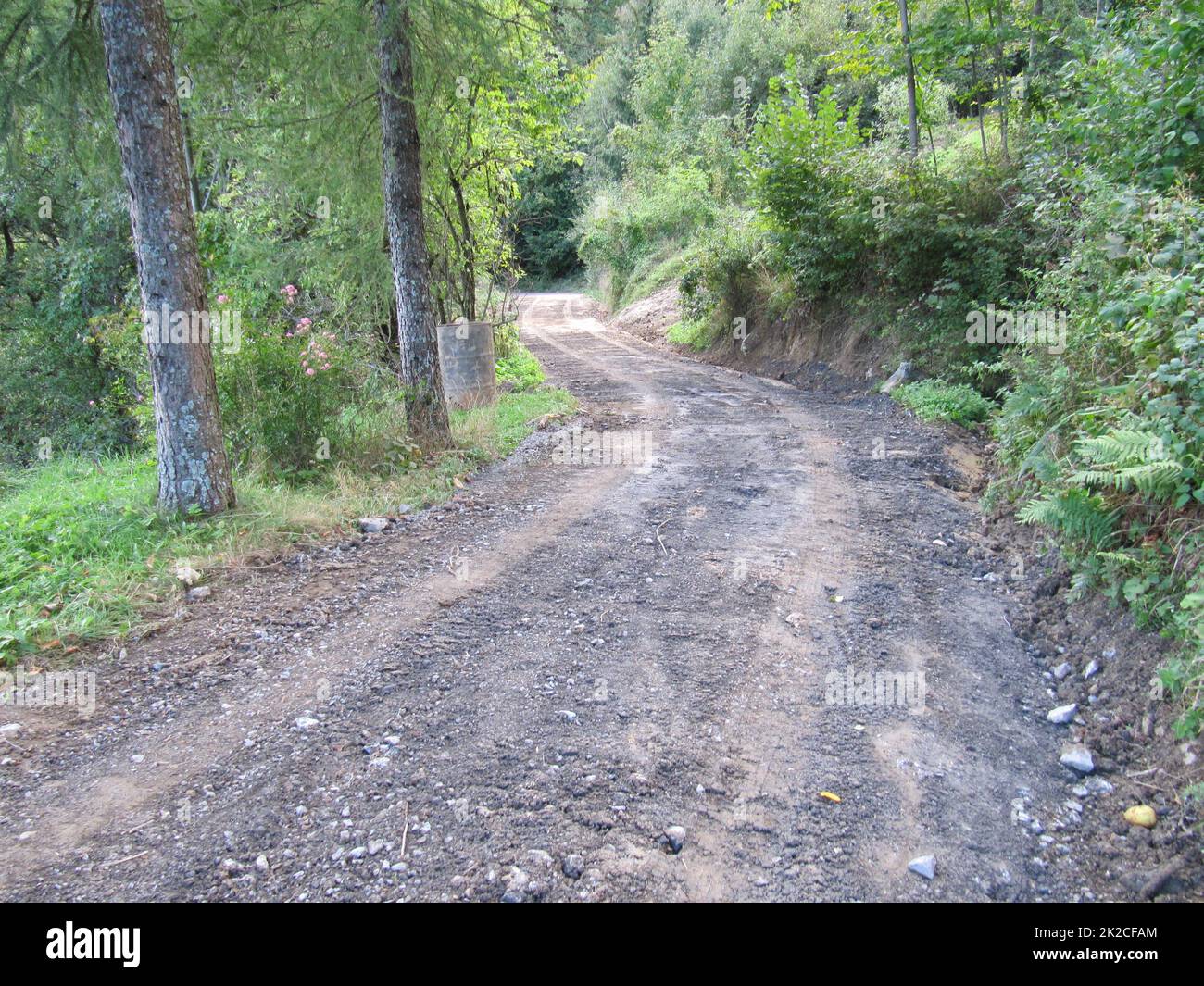 Trees and transportation systems hi-res stock photography and images ...
