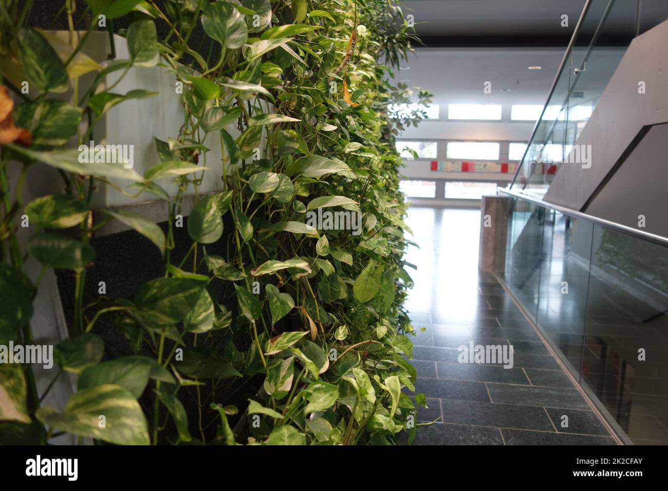 Greening wall hi-res stock photography and images - Alamy