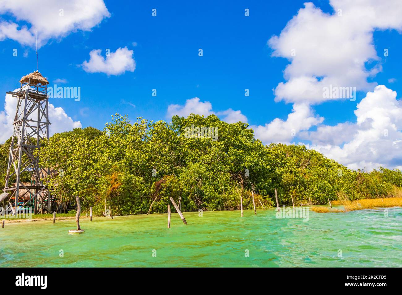 Muyil Lagoon panorama view watch tower in tropical jungle Mexico Stock ...