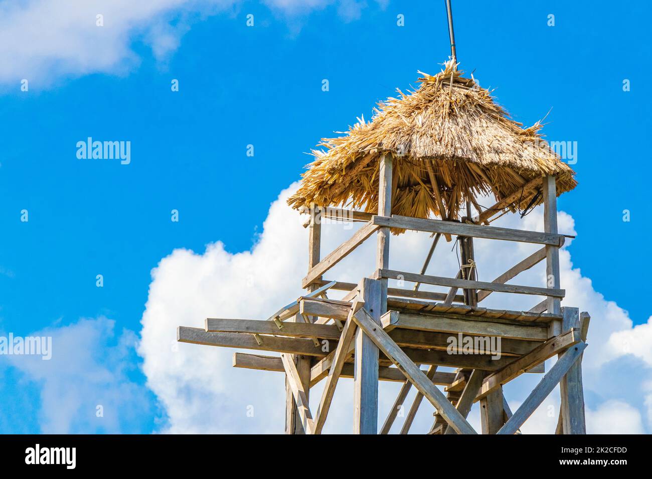 Wooden viewpoint tower with blue sky Muyil Lagoon panorama Mexico Stock ...