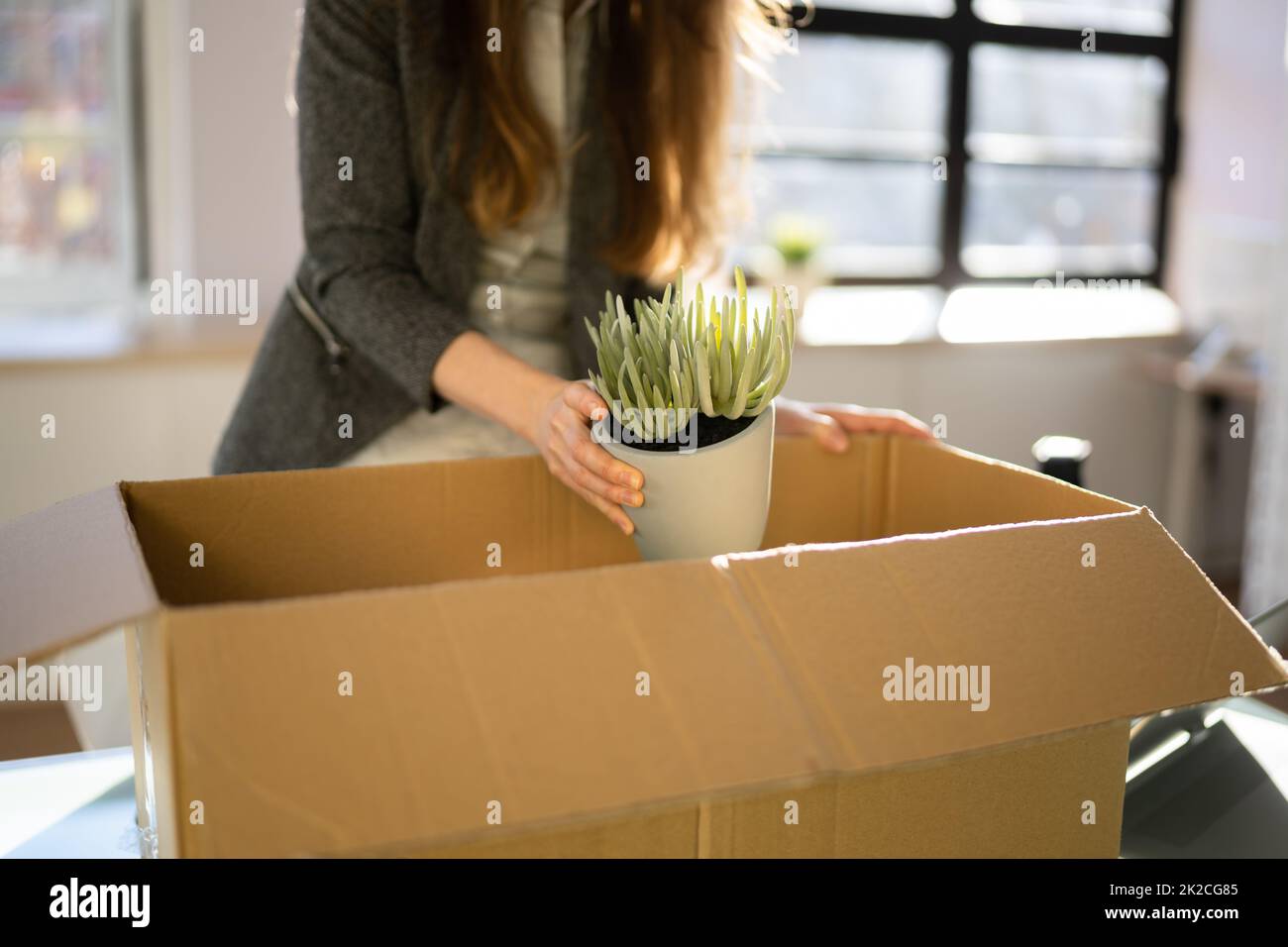 Cardboard holding hi-res stock photography and images - Alamy