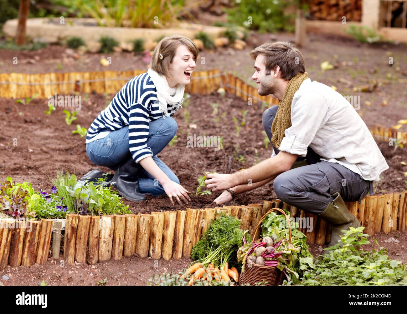 Informal garden plant hi-res stock photography and images - Alamy