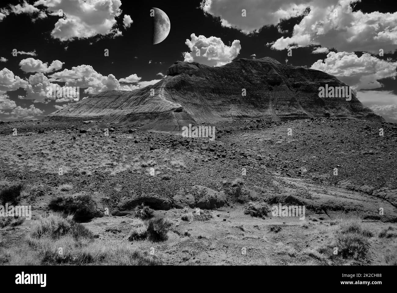 Petrified Forest and Moon in Infrared Stock Photo - Alamy