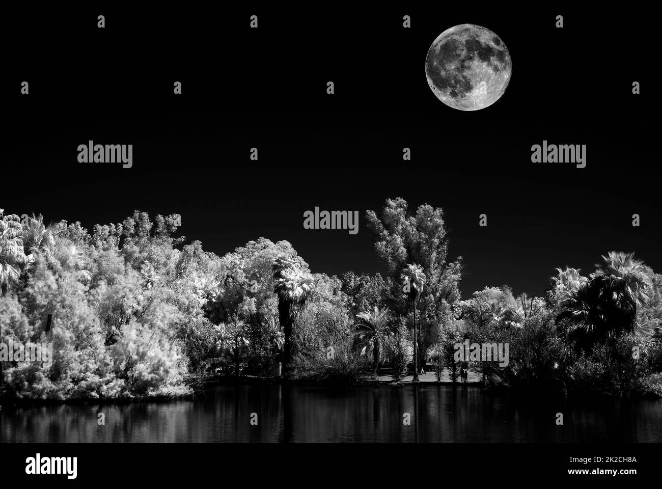 Full moon Palm Lagoon in Infrared Stock Photo - Alamy