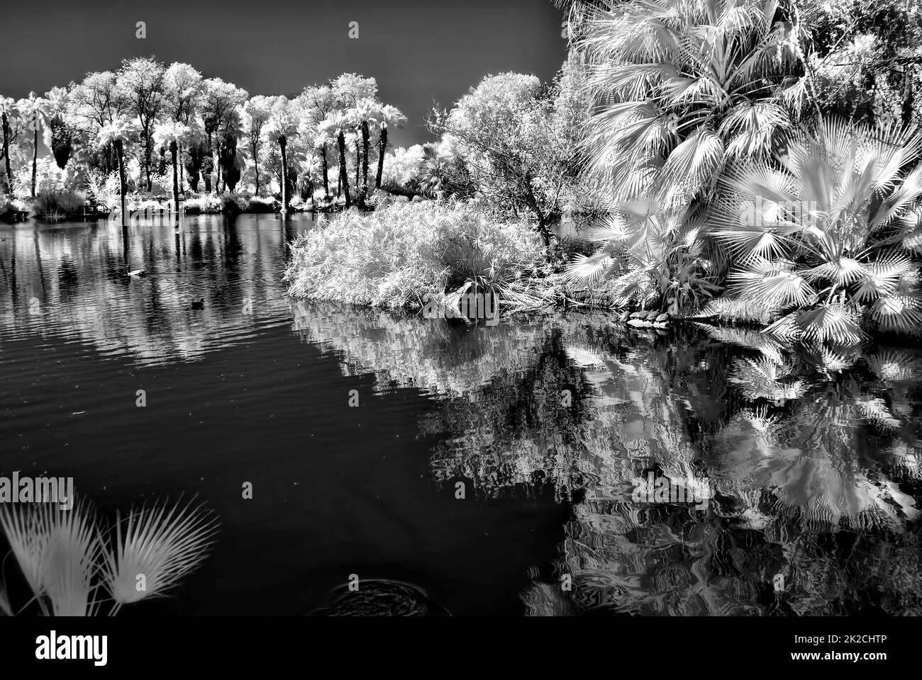 Lagoon in danger hi-res stock photography and images - Alamy
