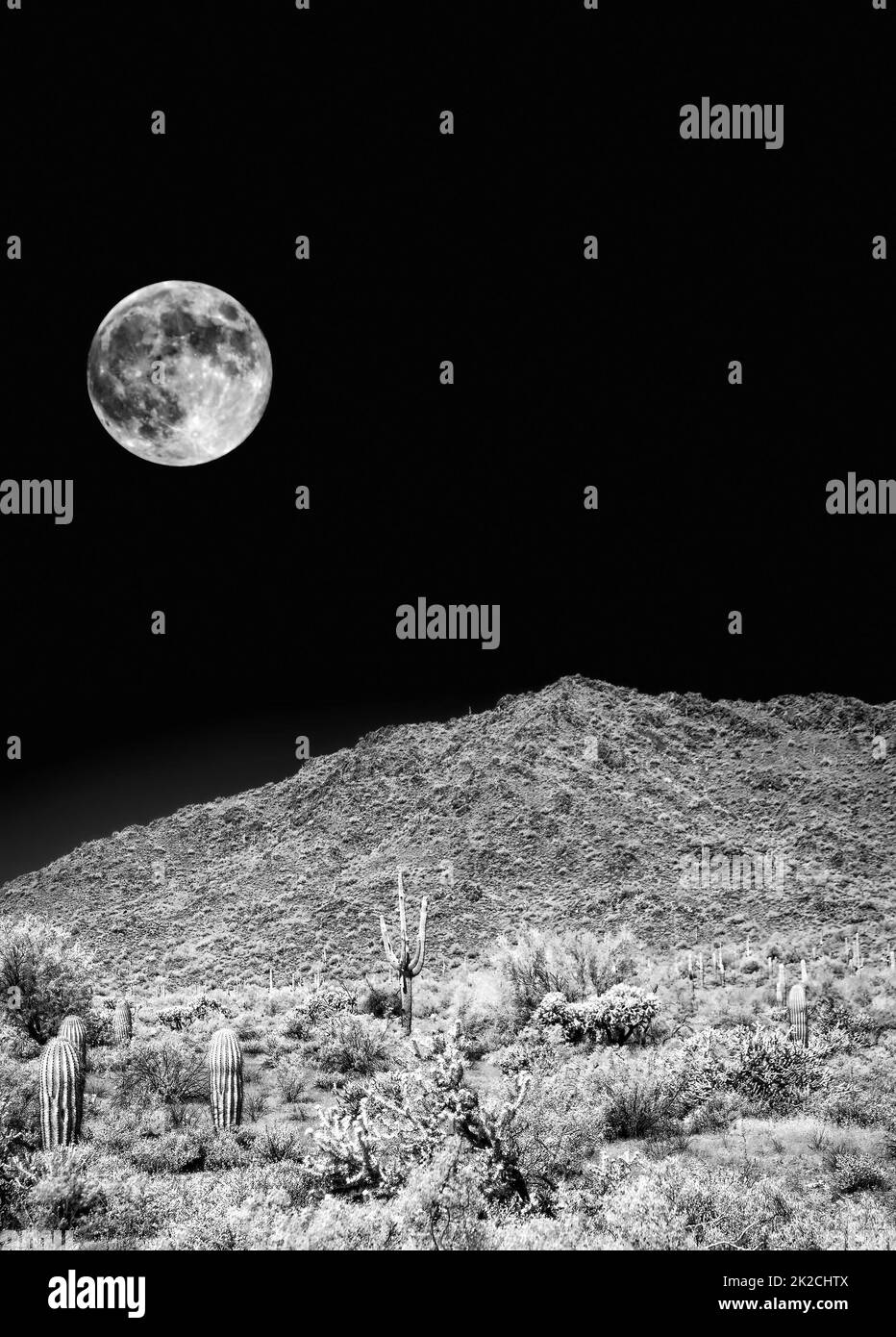Arizona Sonora Desert Moon in infrared monochrome Stock Photo - Alamy