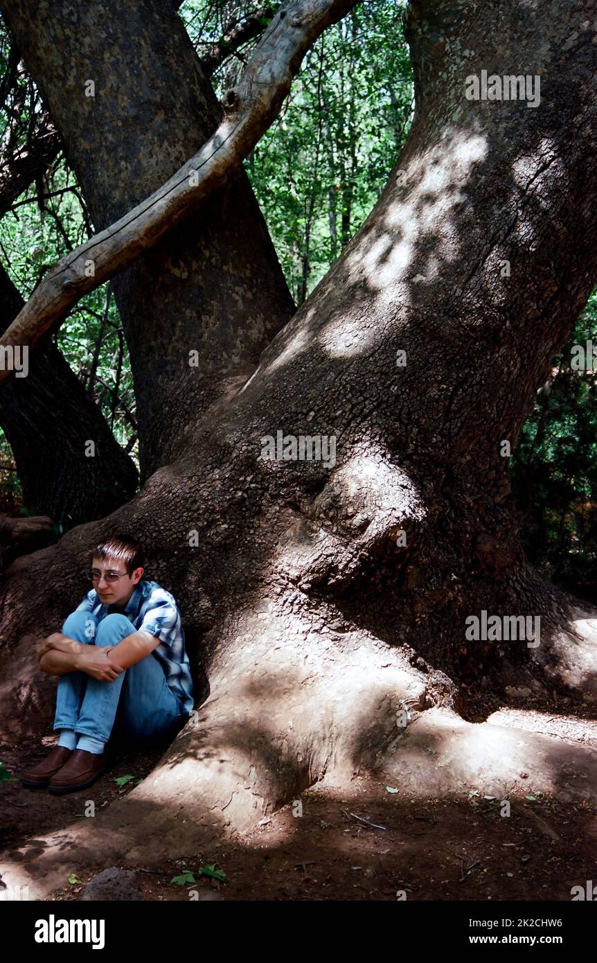 Sitting beneath a large tree Stock Photo - Alamy