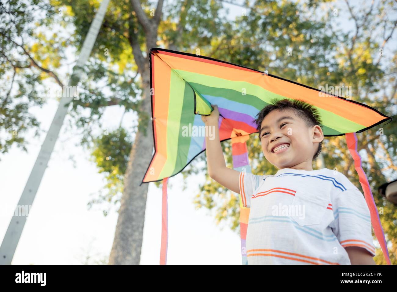 Asian happy children boy with a kite running to fly on in park Stock ...