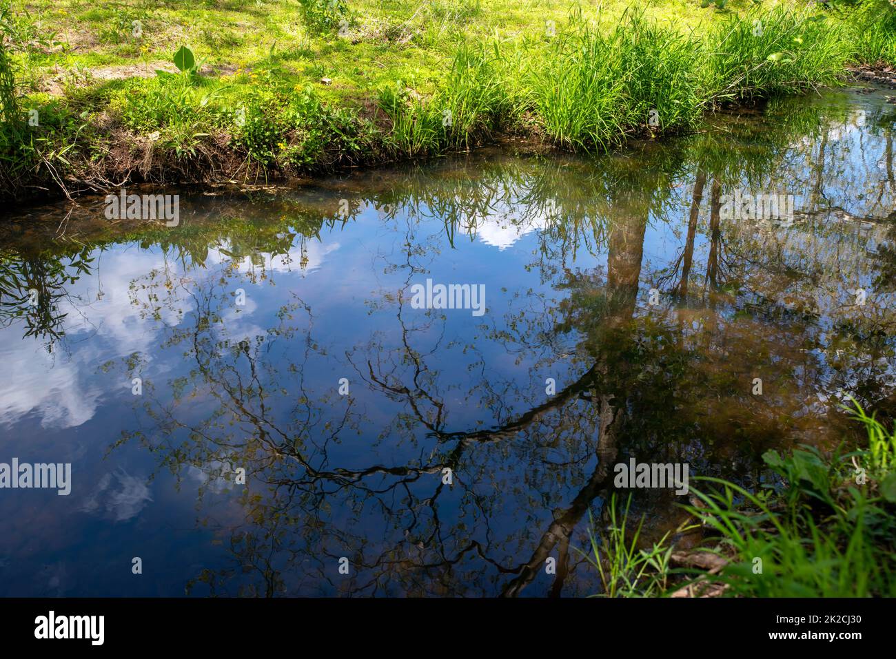 Tall green banks hi-res stock photography and images - Alamy