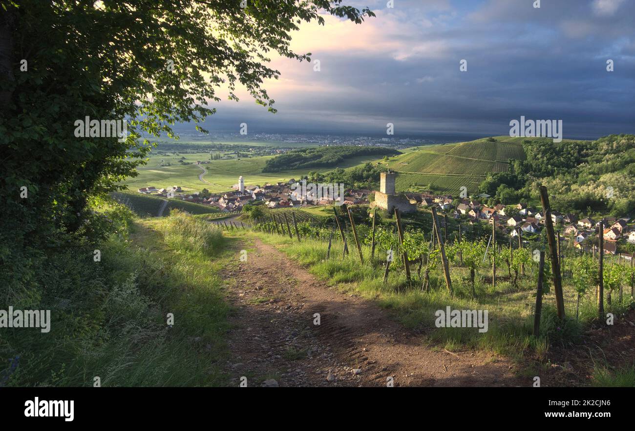 Schloss elsass hi-res stock photography and images - Alamy