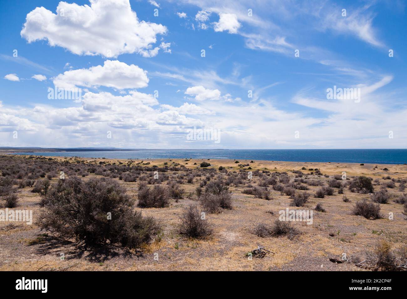 Punta Tombo beach day view, Patagonia, Argentina Stock Photo - Alamy