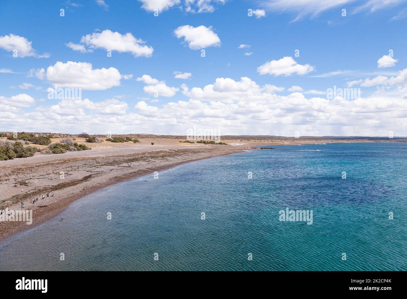 Punta Tombo beach day view, Patagonia, Argentina Stock Photo - Alamy