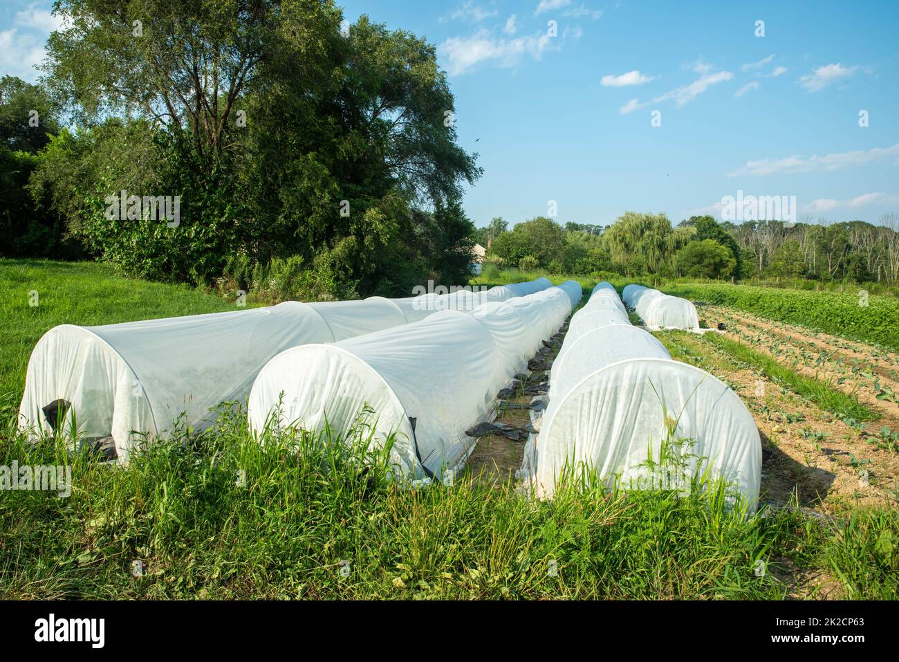 Hoop gardening covers hi-res stock photography and images - Alamy
