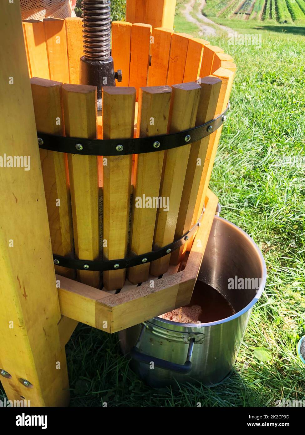 A cooking pot catches fresh cider as it streams from the wooden press ...