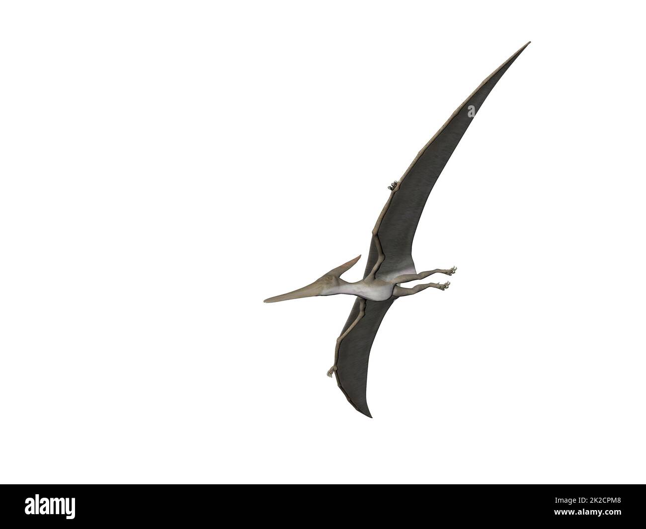 Pterodactyl pteranodon hi-res stock photography and images - Alamy