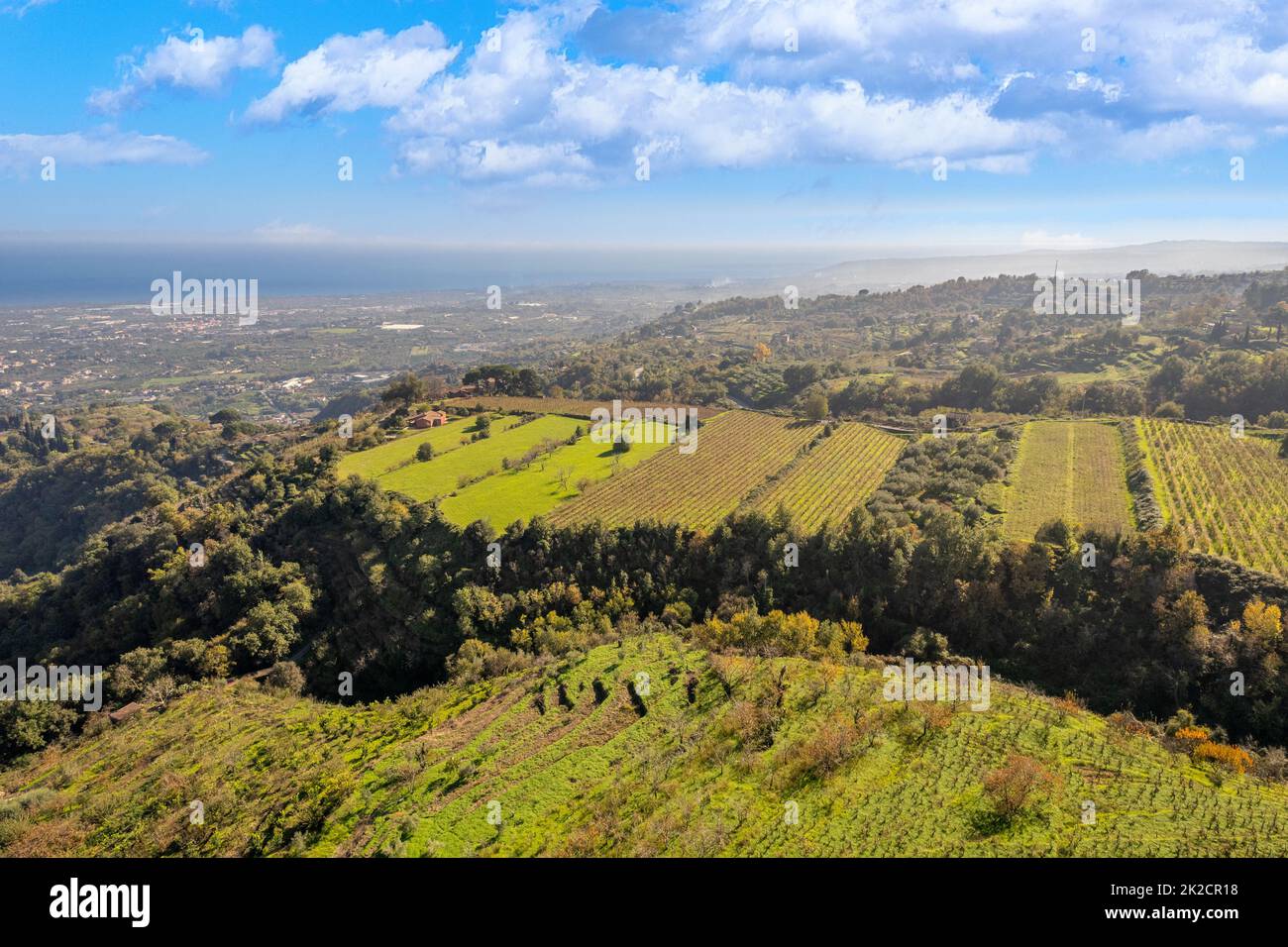 the vineyards on the slopes of the Etna volcano Stock Photo - Alamy