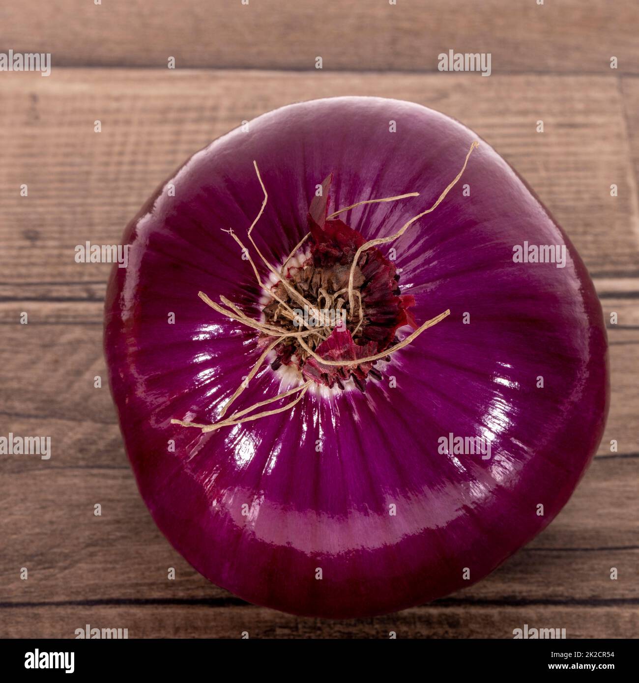 Single whole vegetable of red onion on a wooden kitchen board, close up ...