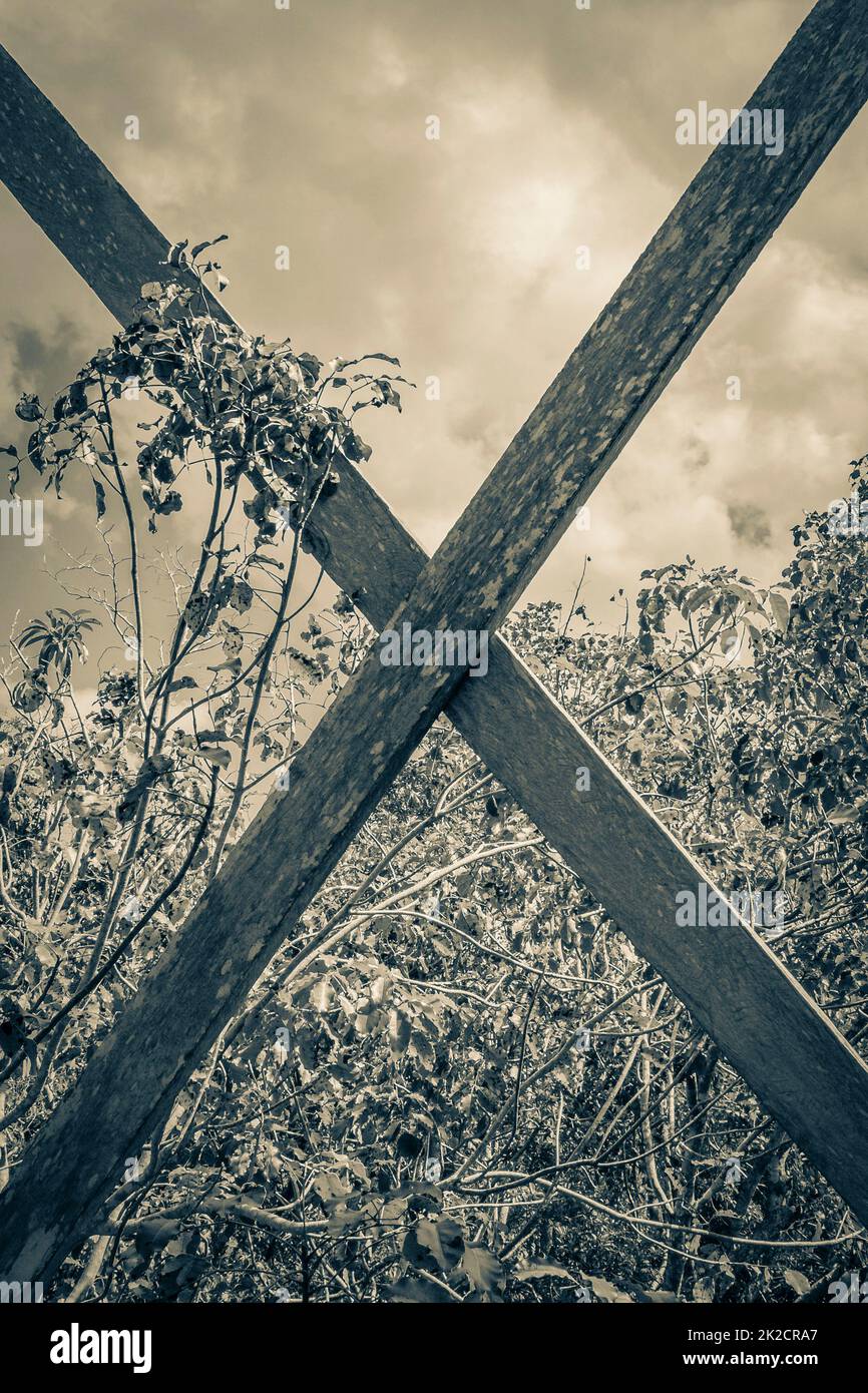 Wooden cross in tropical jungle with plants and tress Mexico Stock ...
