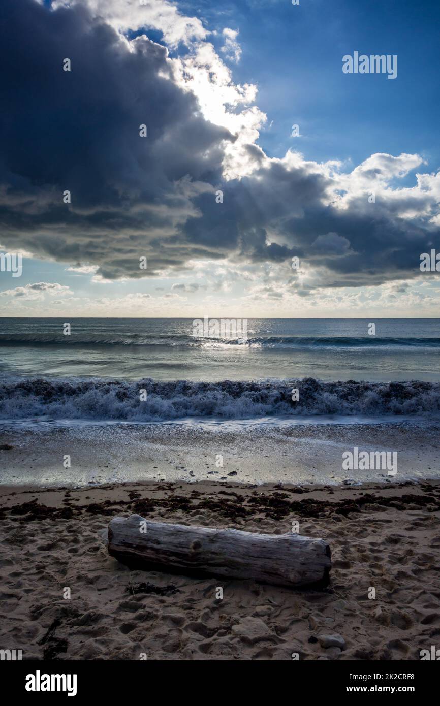 Trunk on the beach hi-res stock photography and images - Alamy