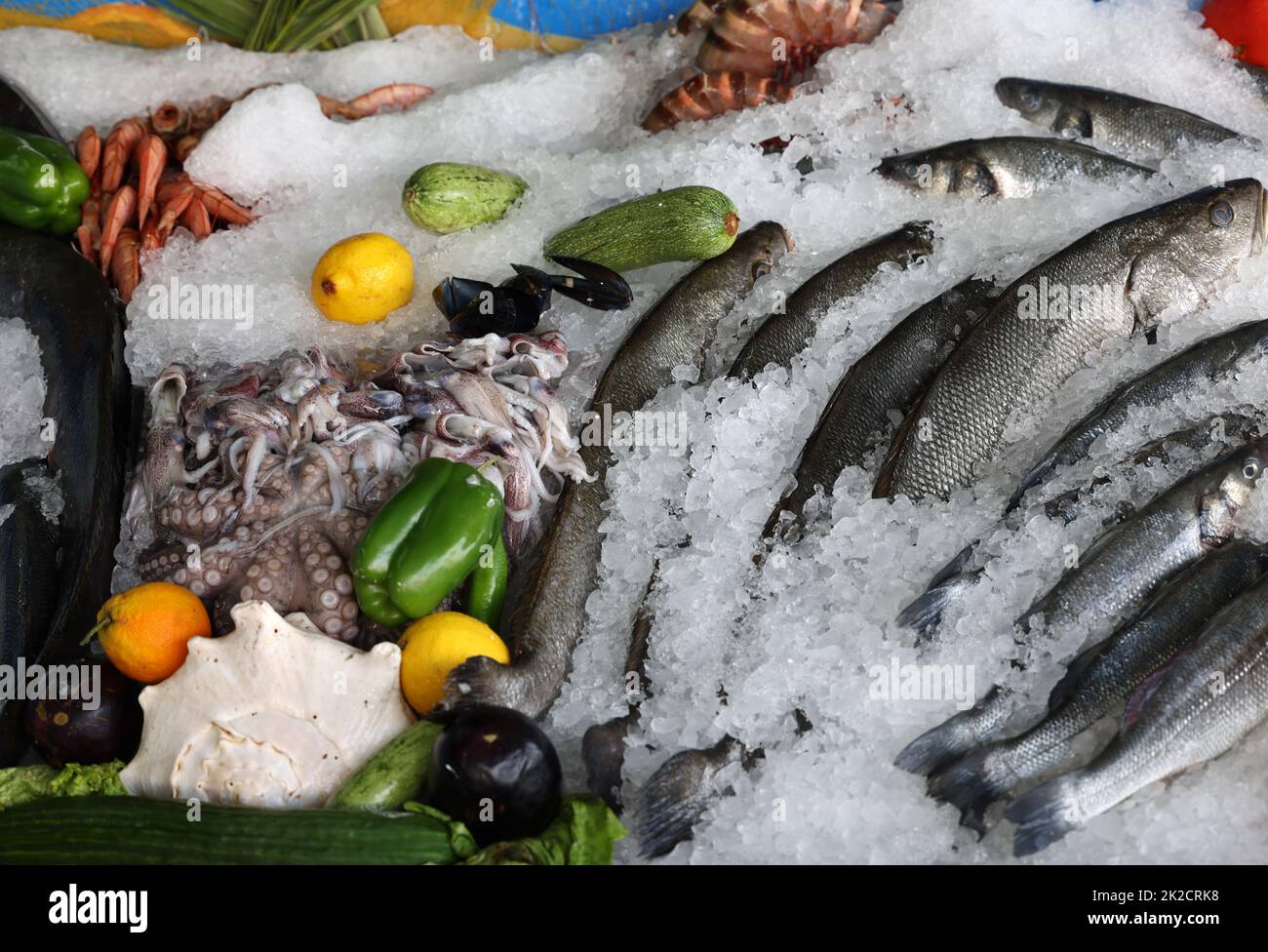 Fresh seafood and fishes lying on ice in the showcase. Rethymno on ...